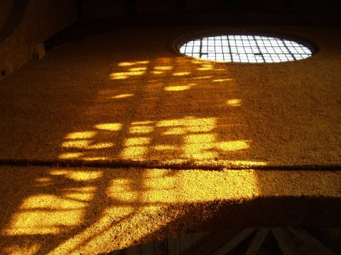 Dilston Grove | Ackroyd & Harvey